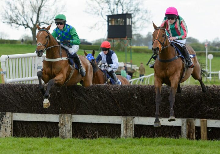 The Quorn Hunt Point To Point 2015